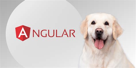 Exploring Difference Between Angularjs And Reactjs