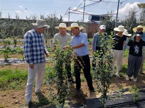 陕西省果业中心