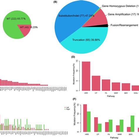 A Correlation Analysis Of DDR Mutations And Prognosis A DDR Download Scientific Diagram