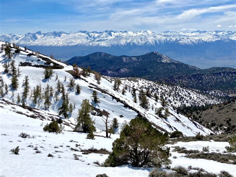 Newsletter May 2023 David Egan Philosophy