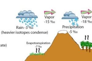 What Is An Isotope Isotopes Elements Example Meaning