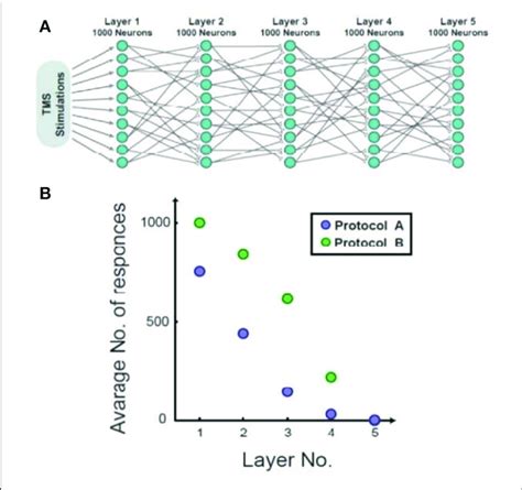 simulation of a feed forward network consisting of five layers a a