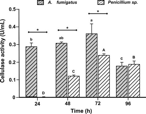 Cellulase Production Profile On Submerged Fermentation With Bsgw Download Scientific Diagram