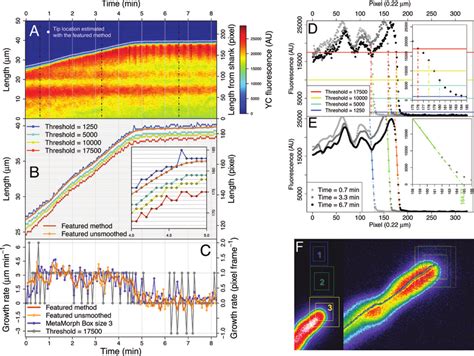 Tip Detection Comparison Between Methods In An Illustrative Kymograph