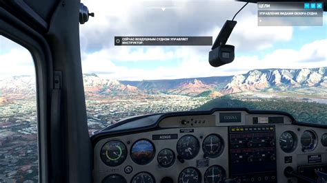 Windows fly