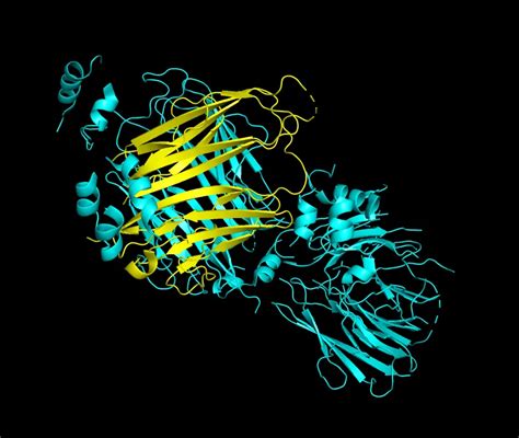 Pymol 10 Very Basic Commands That You Really Need To Know Part 1 By