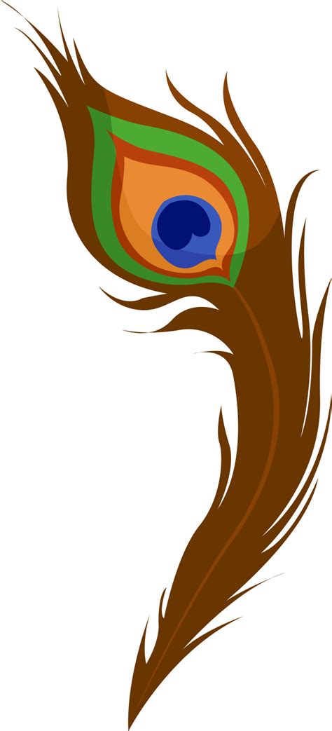 Peacock Feather Illustration Vector On White Background 13684139