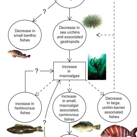 Relative Prey Availability At The Different Sampled Sites Download Scientific Diagram