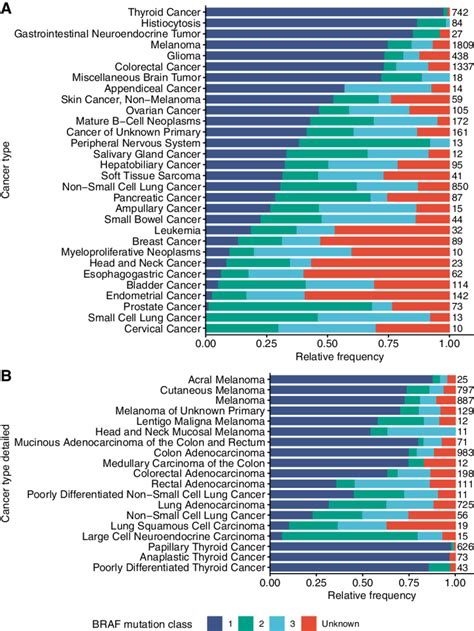 Distribution Of Braf Mutation Classes Across Cancer Types And Subtypes Download Scientific