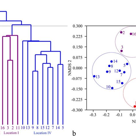 Spatial Distribution Of The Biomass Of Dominant Functional Groups Of Download Scientific