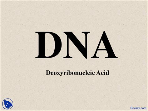 Dna Biochemistry Lecture Slides Docsity