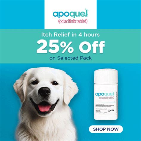 Interceptor Vs Interceptor Plus Best Heartwormers For Dogs