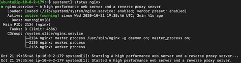 Using Nginx To Serve React Application Static Vs Reverse Proxy