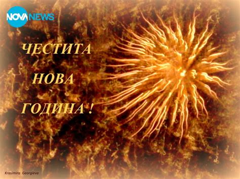 Честита Нова Година Nova Bg