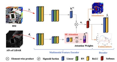 multimodal hyperspectral unmixing insights from attention networks