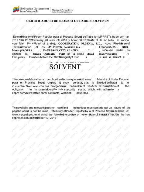 Solvency Pdf