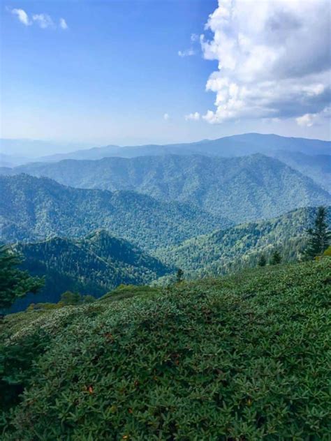 Alum Cave Trail Hiking Mount Leconte In The Smoky Mountains