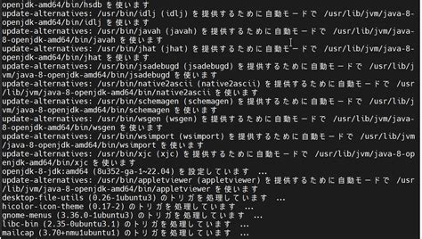 Openjdk 8 のインストールと設定（ubuntu 上）