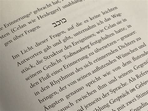 Franz Maciejewski Paul Celan Und Martin Heidegger In Todtnauberg