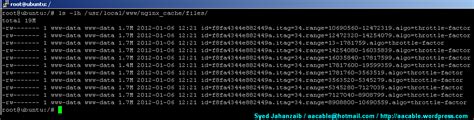Youtube Caching With Squid Nginx Support Tech