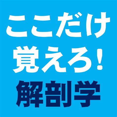 1分で学ぶ解剖学
