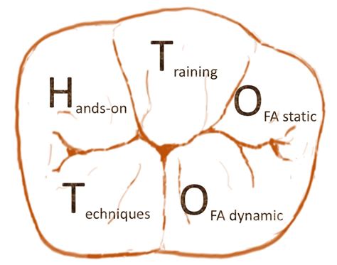 Workshop And Seminar Details Tooth Function Group Workshop And Seminar Details Tooth Function Group