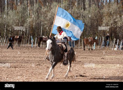 A Gaucho With Argentinian Flag Riding A Horse In Exhibitions For