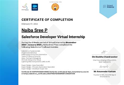 salesforcedeveloper internshipcomplete continuouslearning
