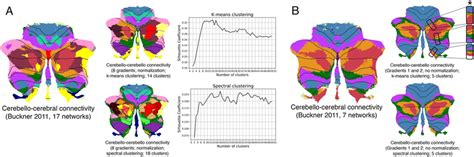 Clustering Of Cerebellar Functional Gradients To Obtain Discrete Download Scientific Diagram