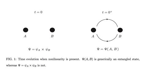 Locality And Nonlinear Quantum Mechanics