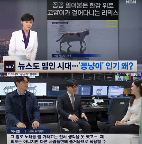 꽁꽁 얼어붙은 한강 위로 고양이가 걸어 다닙니다 일하다가 별안간 밈 제왕 된 Mbn 기자의 프로필 사진에 특이점이 왔다