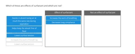 Solved Which Of These Are Effects Of Surfactant And Which Are Not