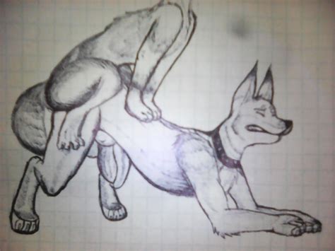 Rule 34 Anal Anal Sex Black Nose Canid Canine Canis Claws Doggy Style