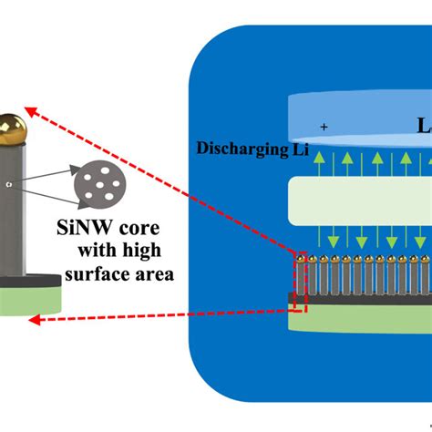 A Schematic Of The Half Cell Components That Is Proposing The Benefits