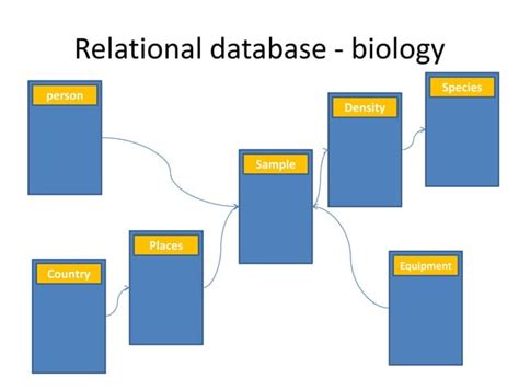 Data Mining Introduction Ppt