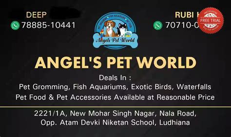 Angel S Pet World In Ludhiana Mohar Singh Nagar Ludhiana Pawlair Angel S Pet World In Ludhiana Mohar Singh Nagar Ludhiana Pawlair