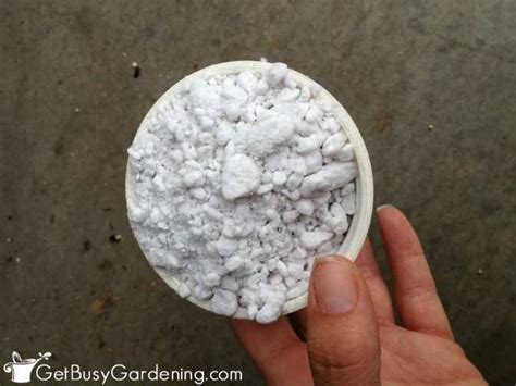 How To Make Your Own Succulent Soil With Recipe Get Busy Gardening