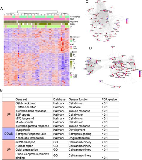 Transcriptional Profiling To Predict Prognosis Of Acc Patients A