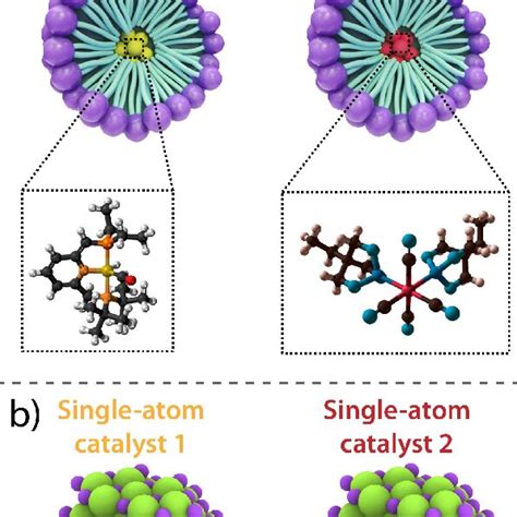 Schematic Representation Of The Analogy Between The Tandem Integration Download Scientific