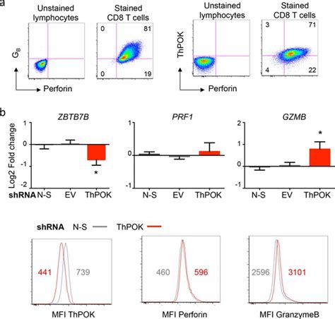 Figures And Data In The Transcription Factors Runx3 And Thpok Cross
