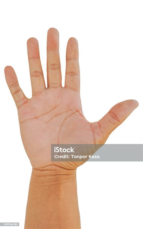 앞손을 벌리고 돕거나 받을 준비가 되어 있습니다 클리핑 경로가 있는 흰색 배경에서 격리된 제스처입니다 구원을 위해 도움의 손길이 뻗어나갔다 5에 대한 스톡 사진 및 기타