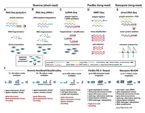 Optimizing Rna Seq Strategies For Transcriptomic Analysis Of Complex