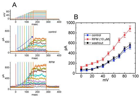 Effect Of Rfm On Mean Current Voltage I V Relationships Of Ikca