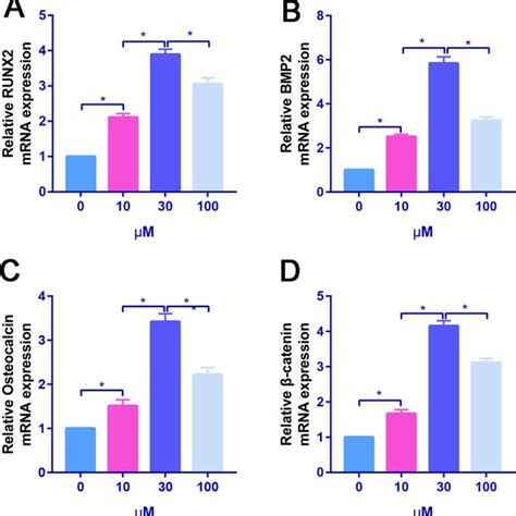 Mrna And Protein Expression Of Runx2 And Osterix By Zn A Nuclear