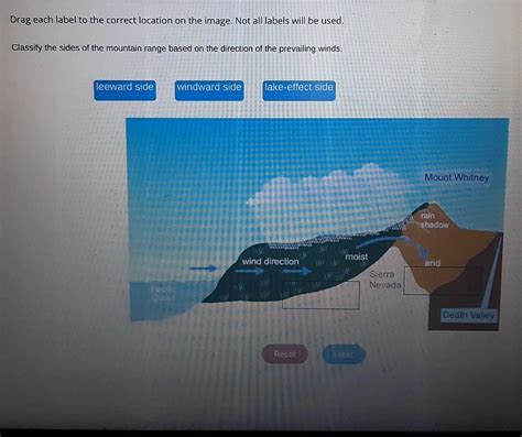 FREE Drag Each Label To The Correct Location On The Image Not All