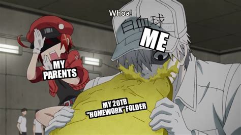 ITS HOMEWORK R Animemes