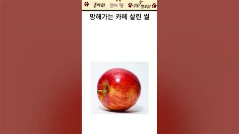 망해가는 카페 살린 썰 Youtube