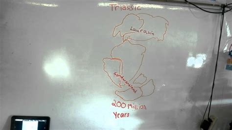 Pangaea Fossil Evidence Youtube