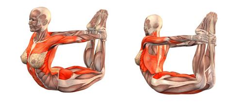 10 поз йоги чтобы убрать жир на животе Копилка советов