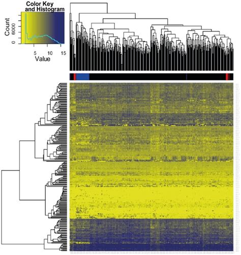 heat map and global gene expression analysis unsupervised hierarchical